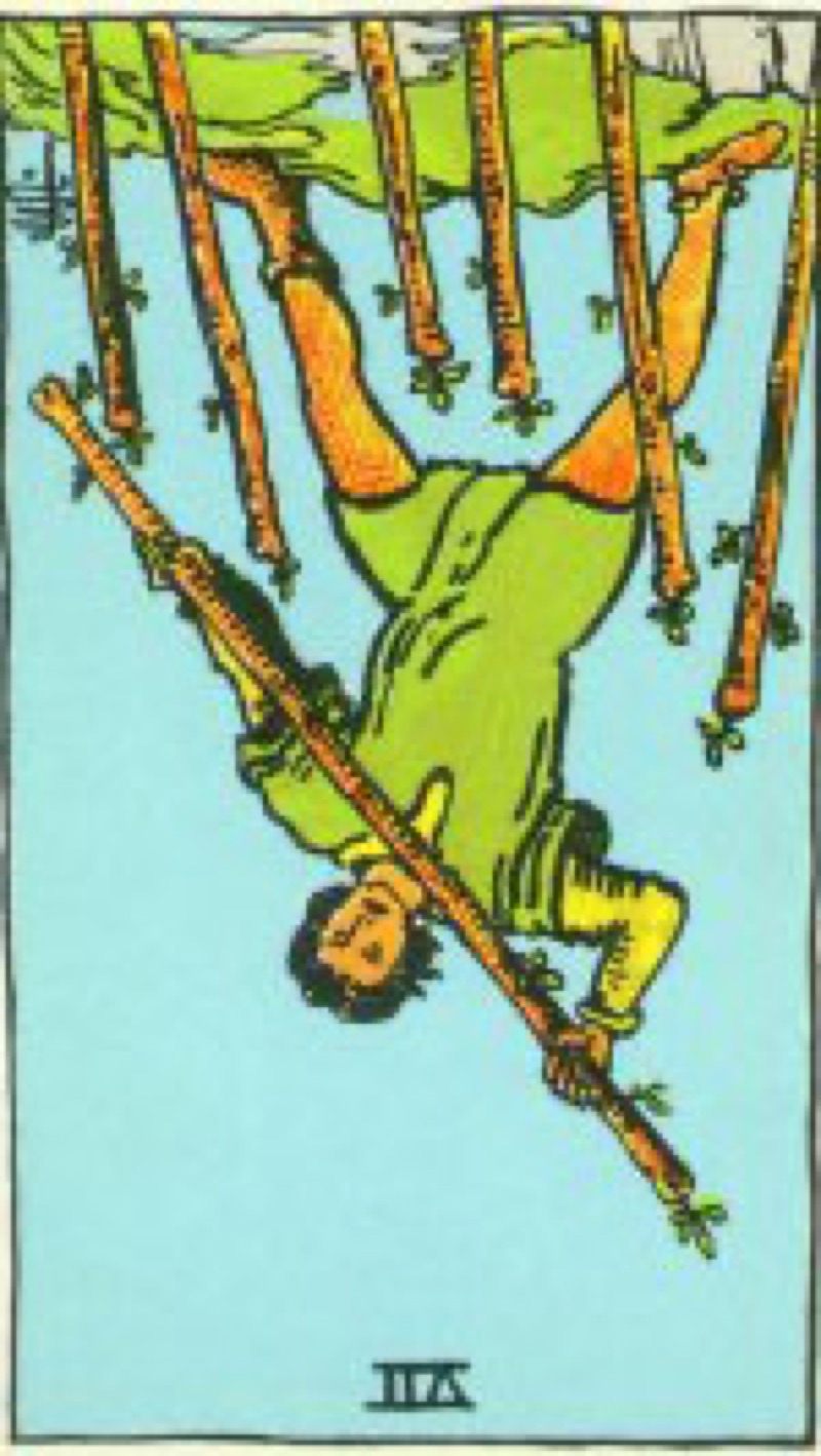 Tarot Card: The Seven of Wands Reversed